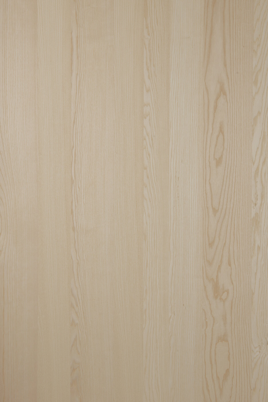 Essen hout eigenschappen - houtsclopedie | Van Laere hout