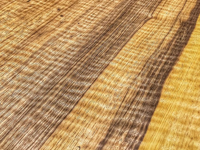 Fraké hout eigenschappen - houtsclopedie | Van Laere hout